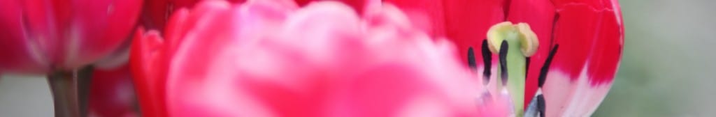 Contact Us – Skagit Radiology